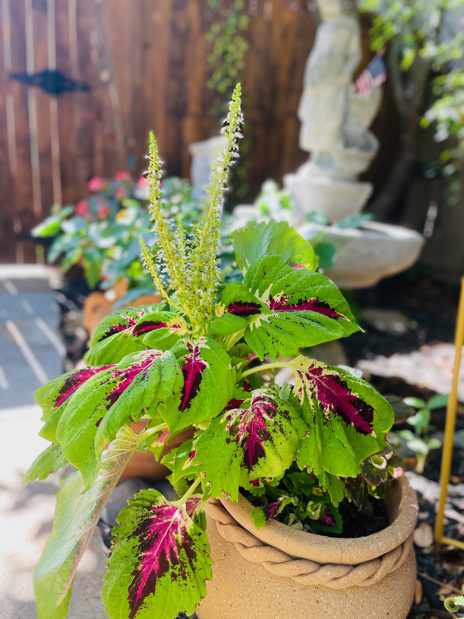 How To Create A Pretty Container Garden! - Savvy In The Suburbs