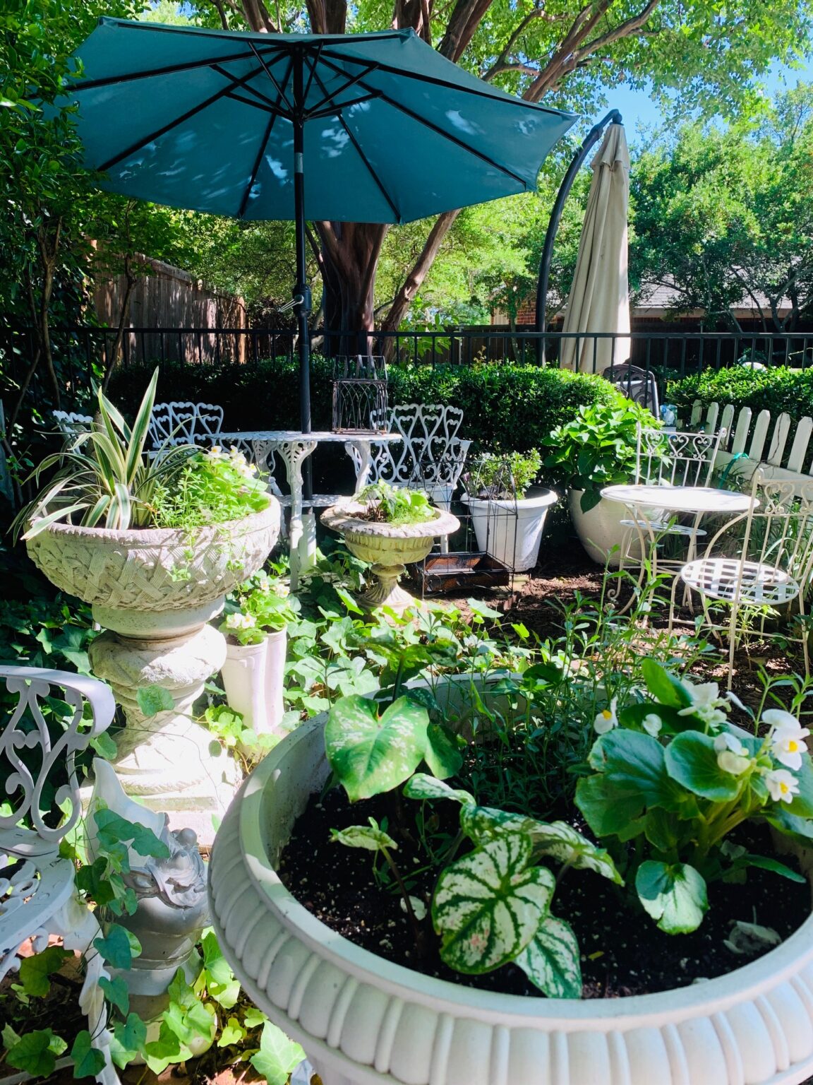 How To Create A Pretty Container Garden! - Savvy In The Suburbs