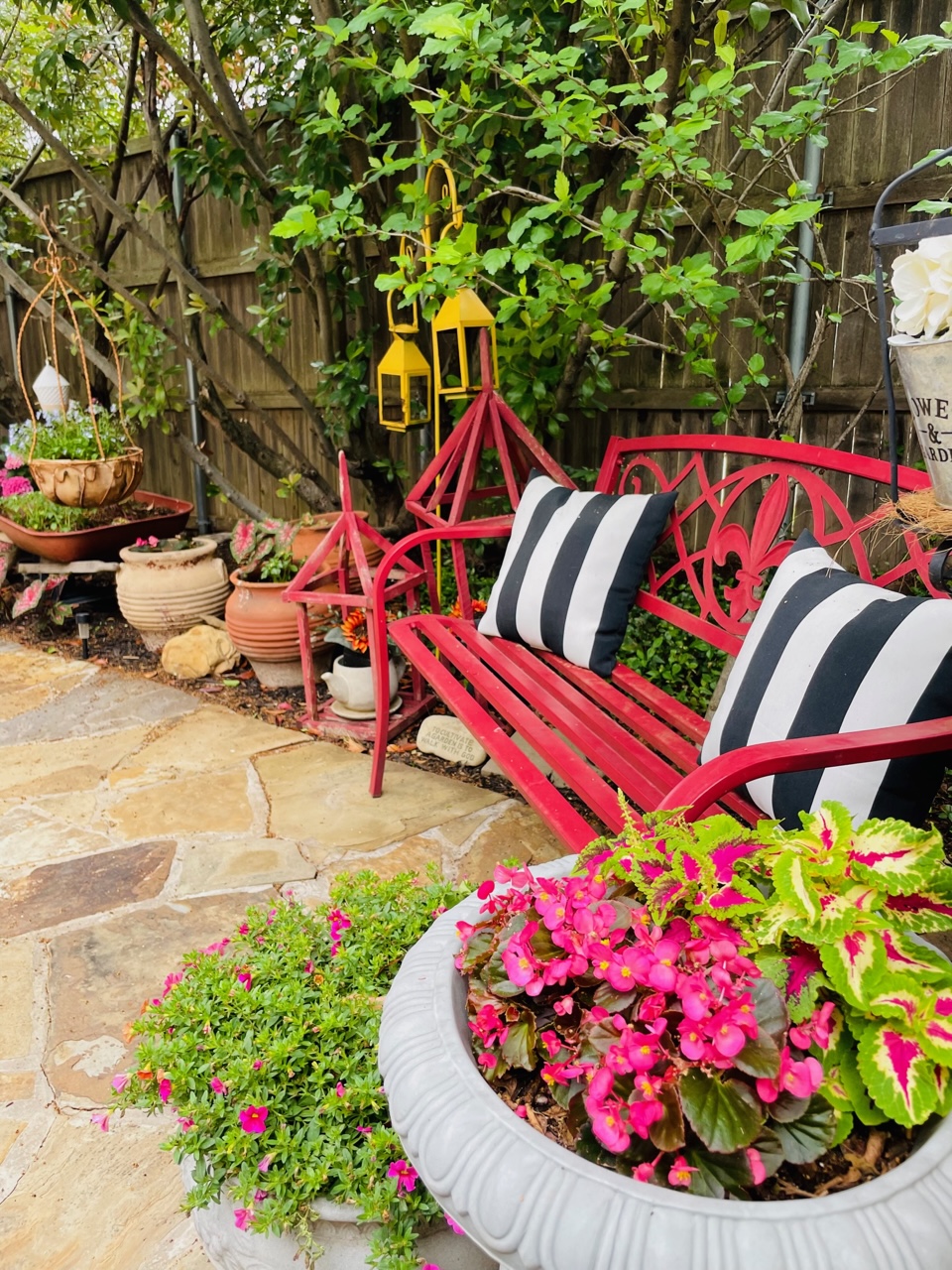 How To Create A Pretty Container Garden! - Savvy In The Suburbs